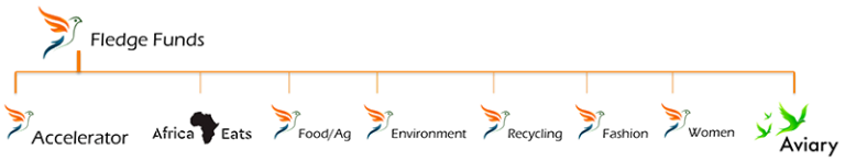 Fledge – Impact accelerators